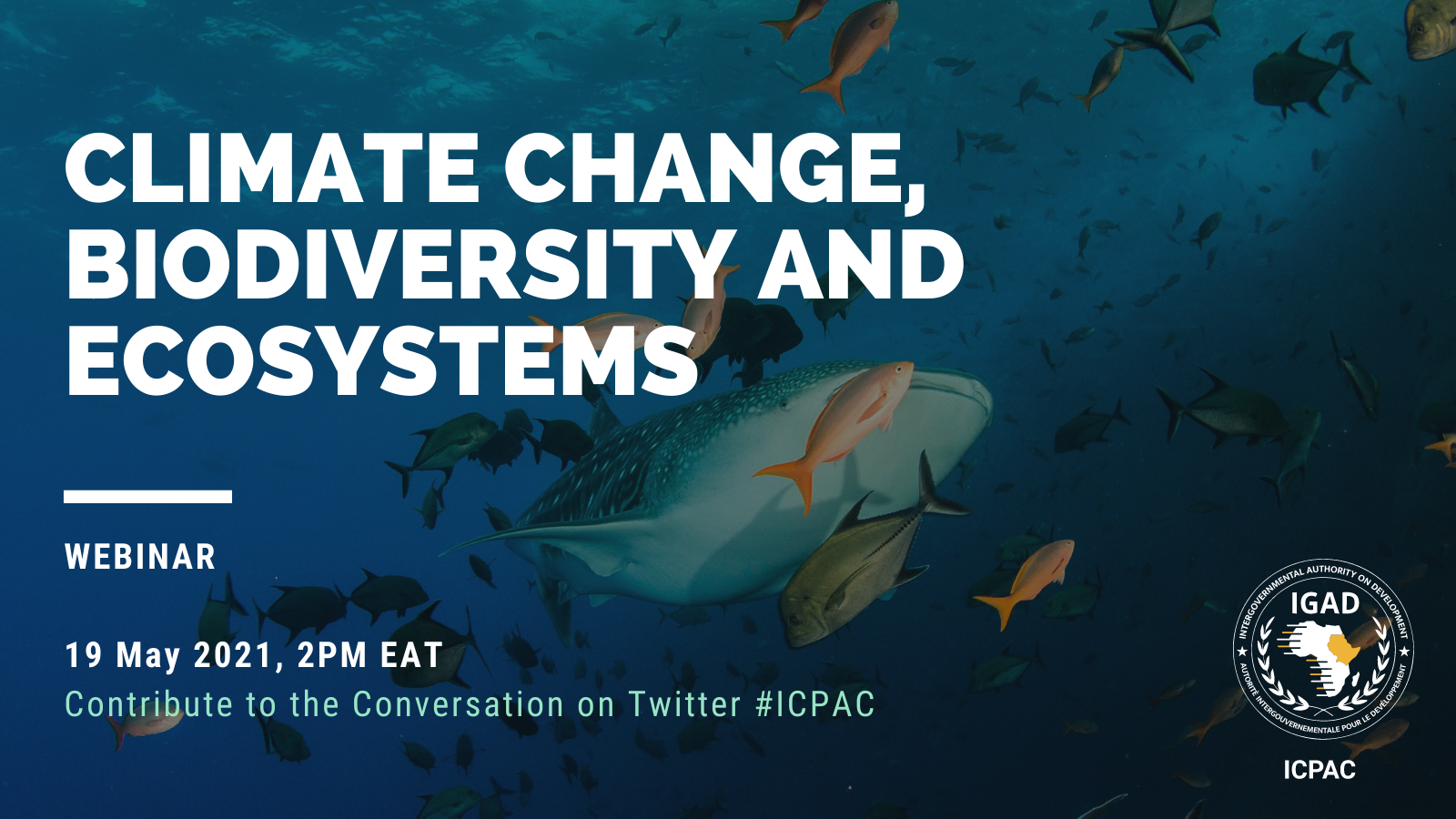 Climate Change, Biodiversity and Ecosystems in East Africa - ICPAC