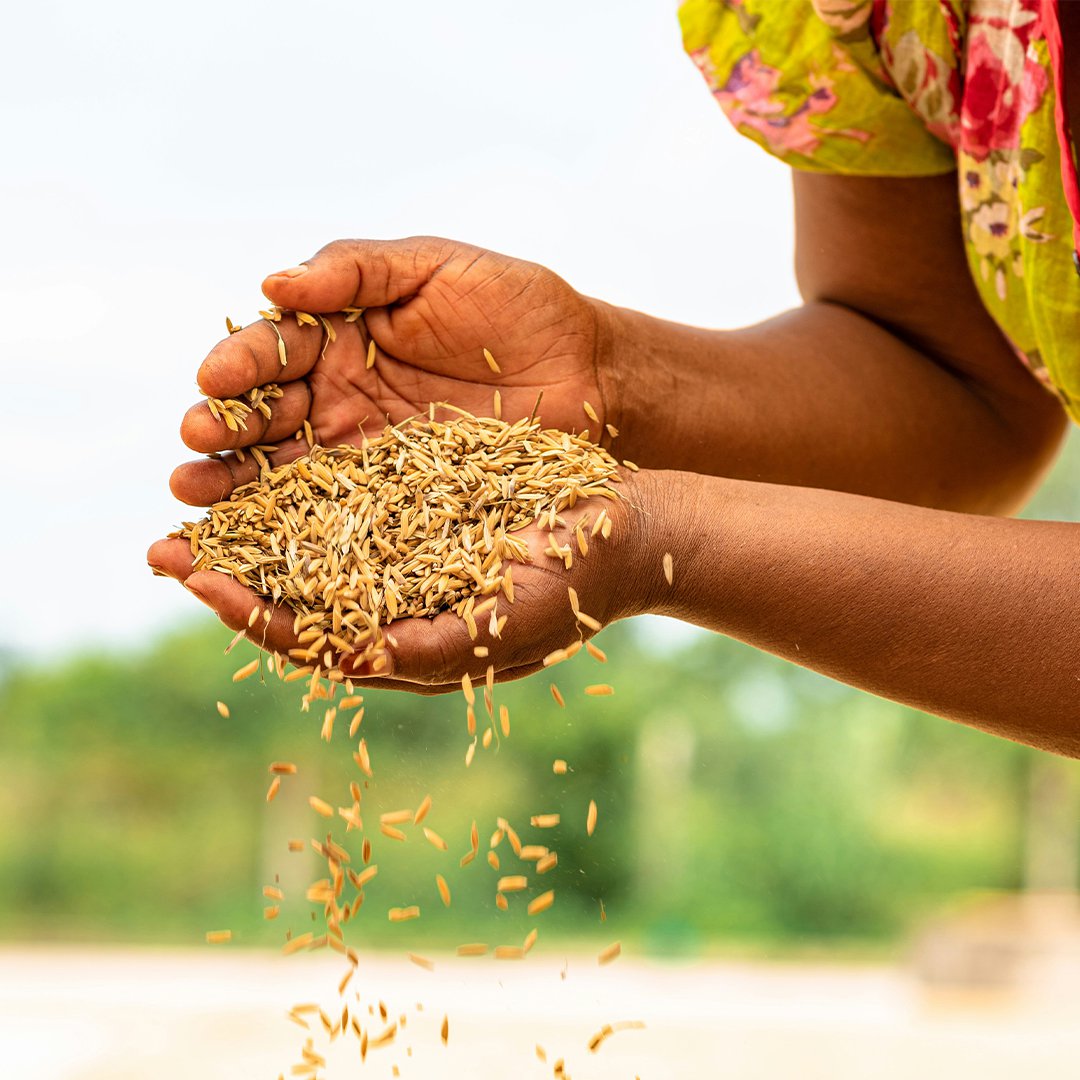 Launch of the IGAD Regional Focus of the 2025 Global Report on Food ...