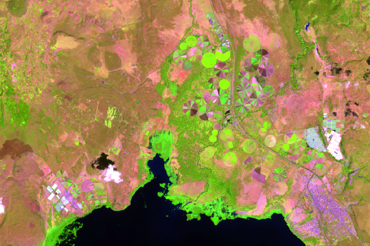 Use of Satellite based data and crop monitoring and forecasting tools ...