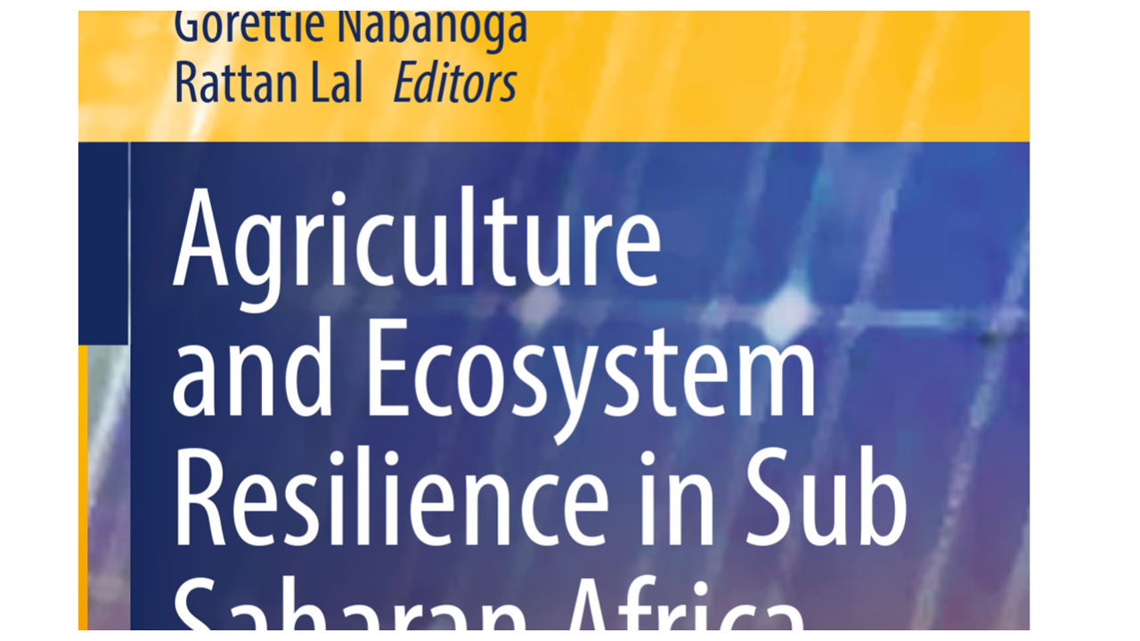 Adoption of Climate Smart Agricultural Technologies and Practices in ...