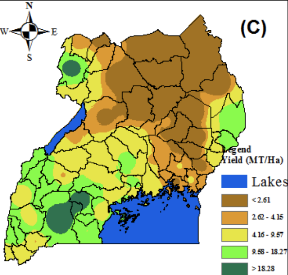 Empirical Relationships between Banana Yields and Climate Variability ...