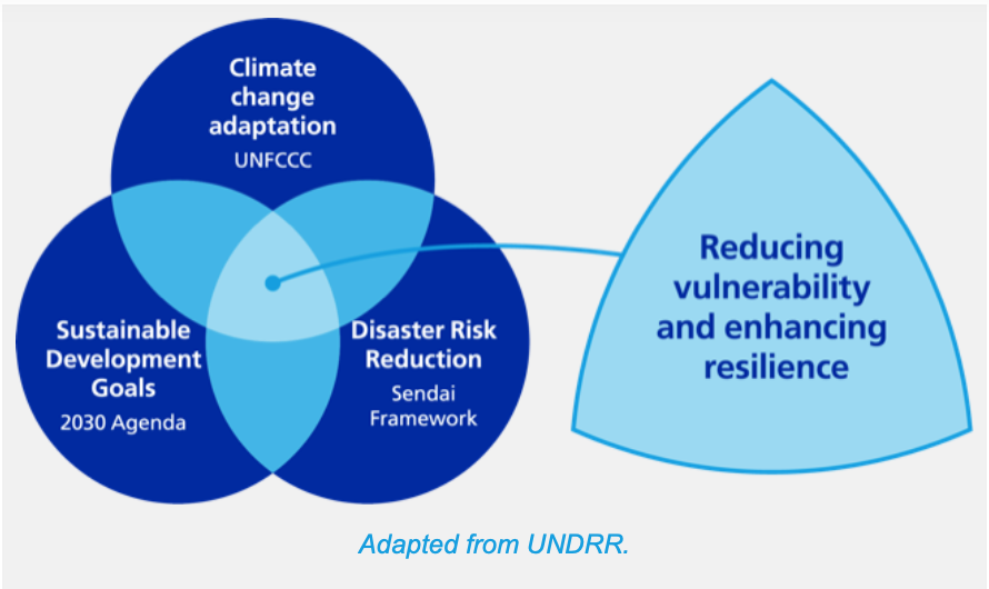 Disaster Risk Reduction Logo