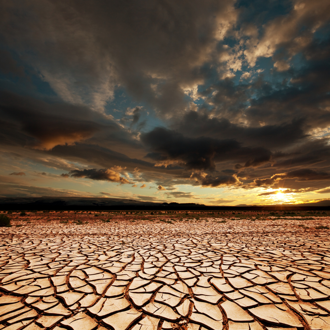 Strengthening Capacity of IGAD to increase Drought resilience - SCIDA ...