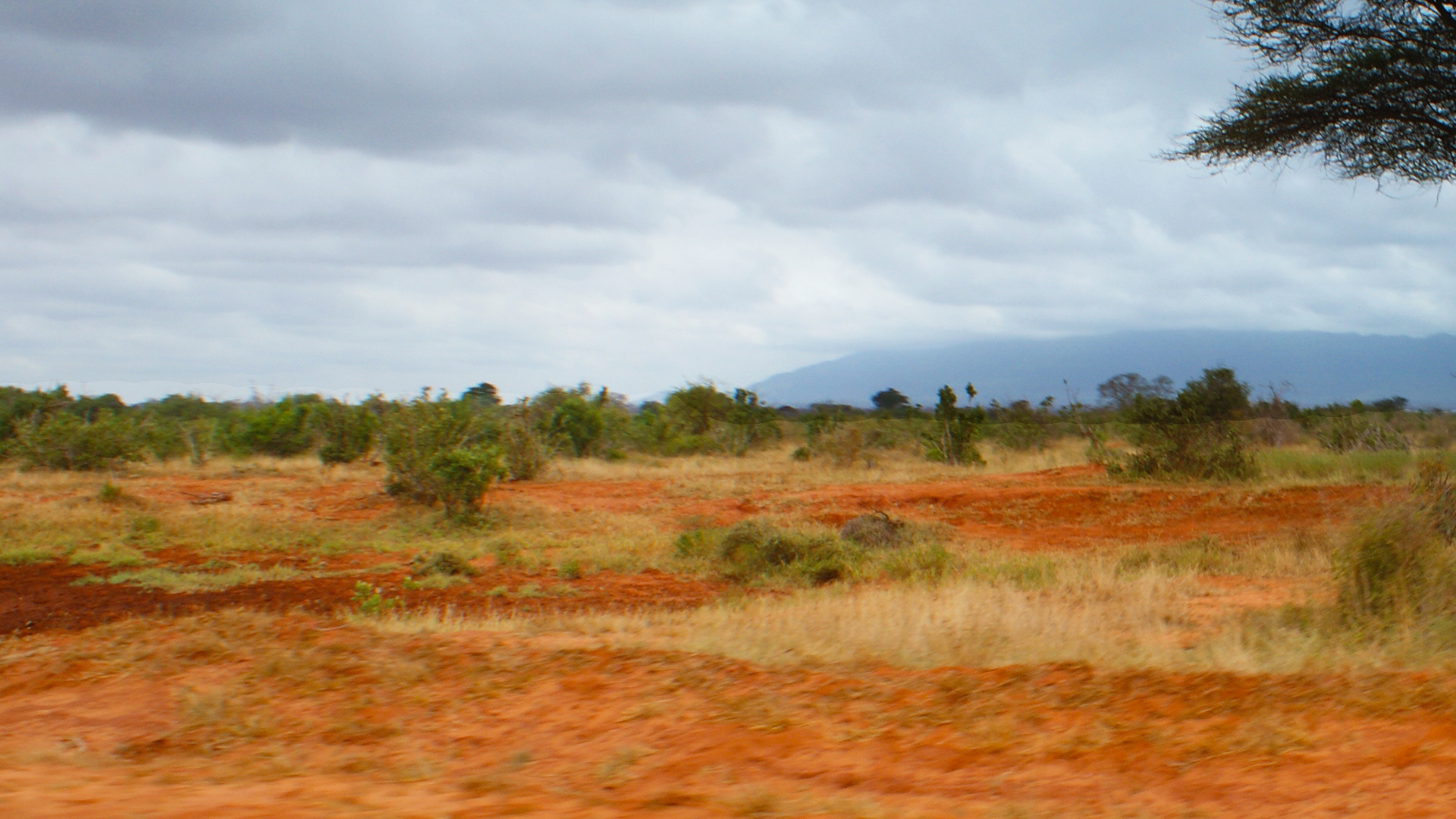 Climate Watch Advisory: The Evolving Dry Conditions in Eastern Africa ...