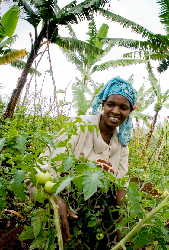 IGAD Regional Framework for Integrating Disaster Risk Management and ...
